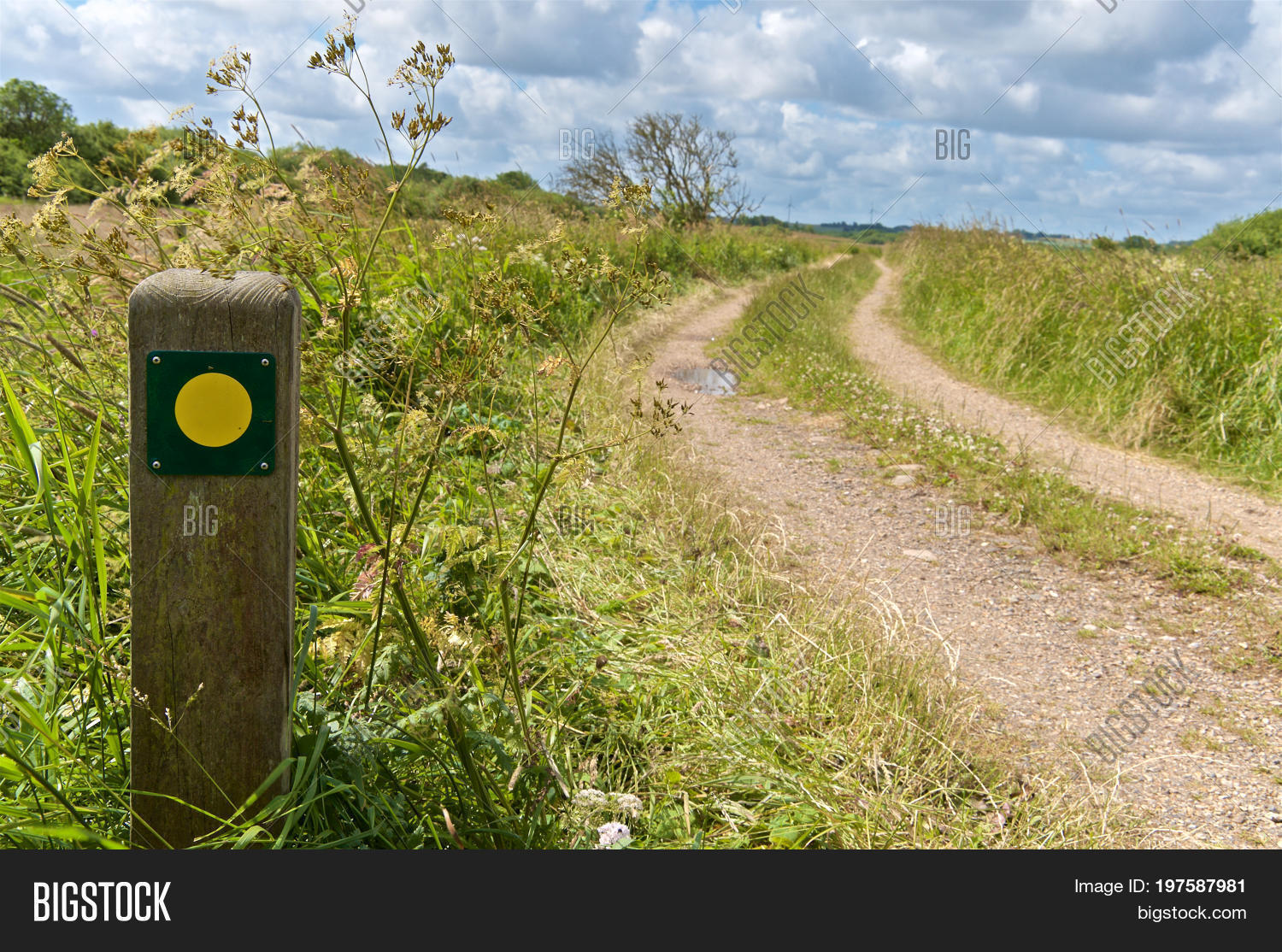 Yellow Green Sign On Image & Photo (Free Trial) | Bigstock