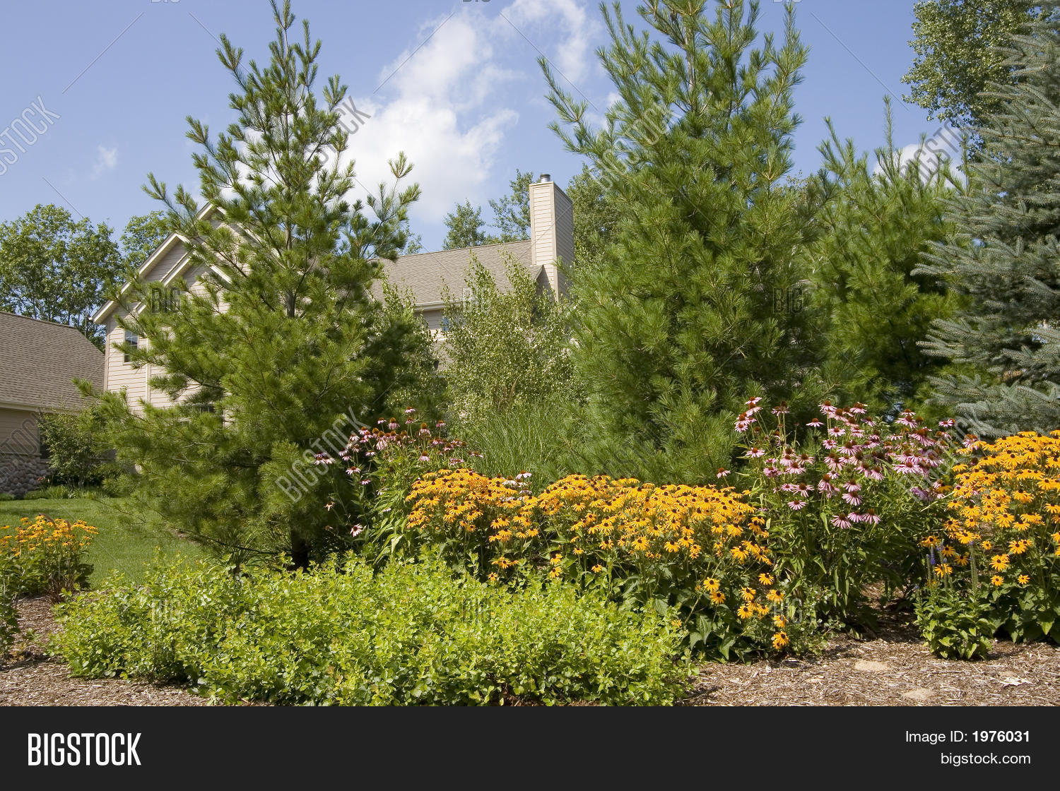 Privacy Landscaping Image & Photo (Free Trial) | Bigstock