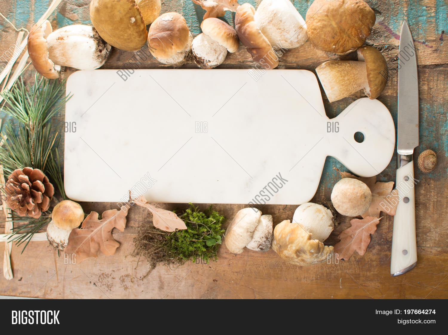 Autumn Dinner Concept Image & Photo (Free Trial) | Bigstock