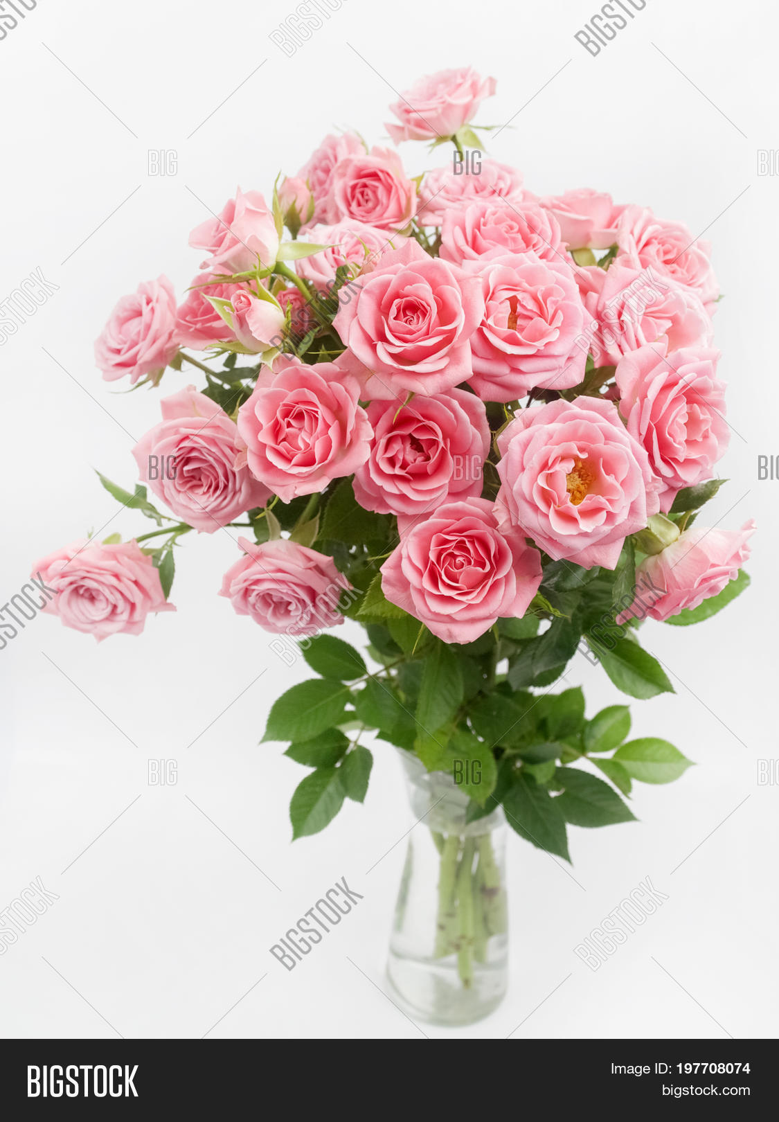Bouquet Pink Roses Image & Photo (Free Trial) | Bigstock