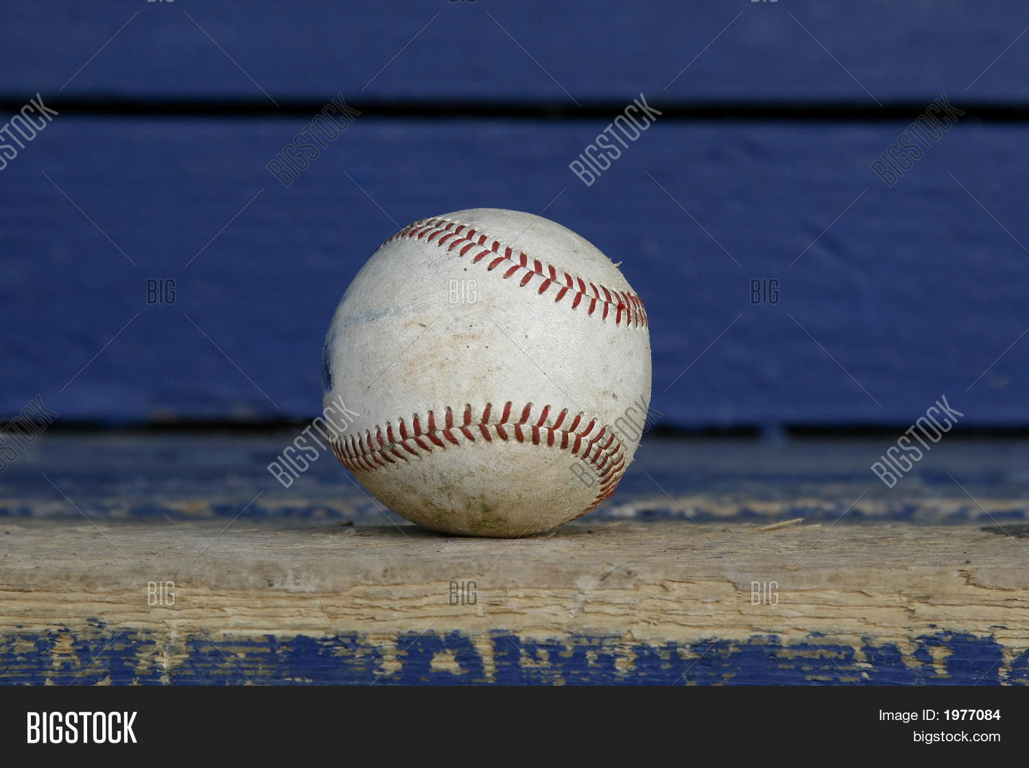 Baseball Dugout Photography