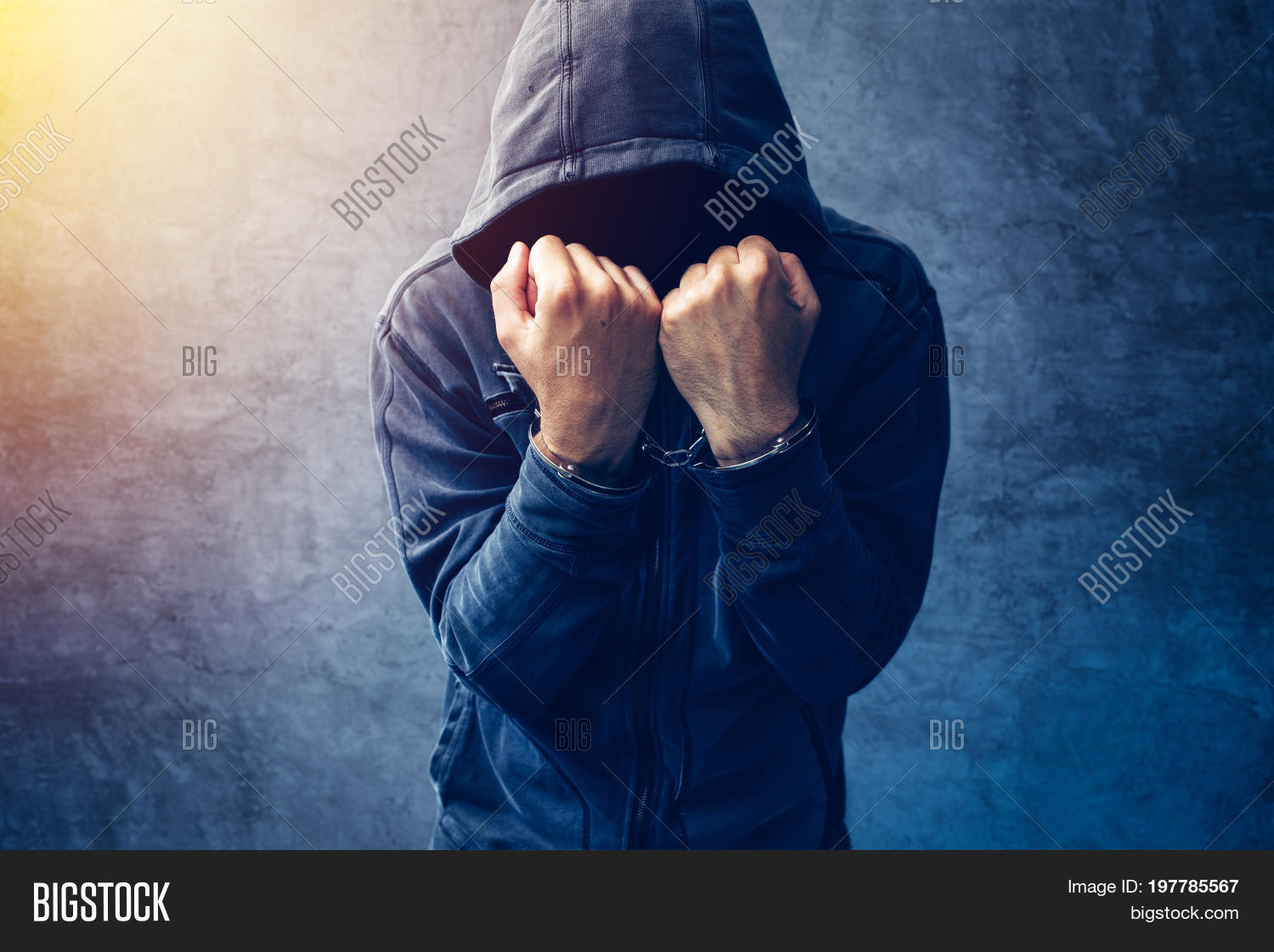 Arrested Computer Image & Photo (Free Trial) | Bigstock