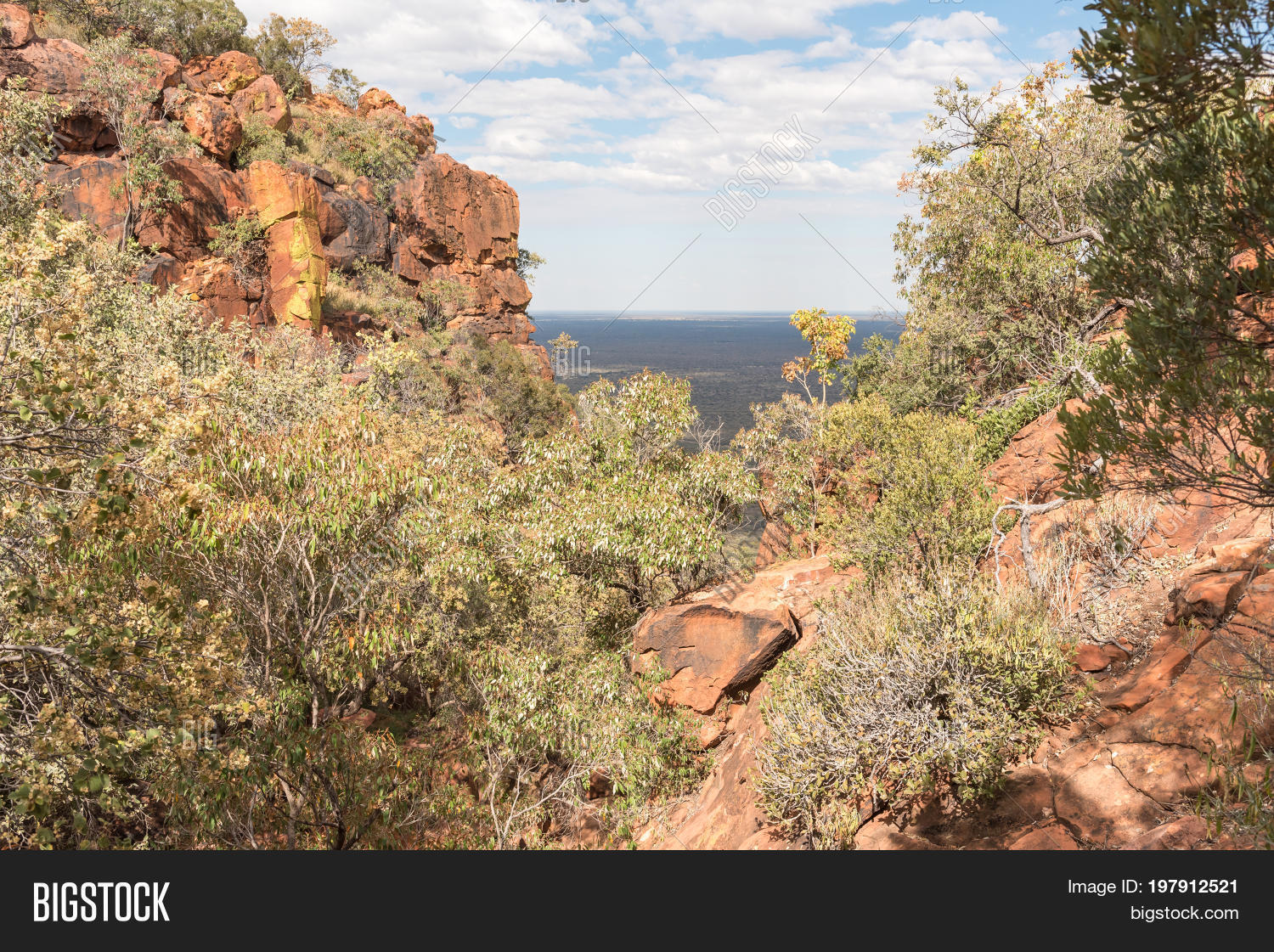 Landscape On Waterberg Image & Photo (Free Trial) | Bigstock