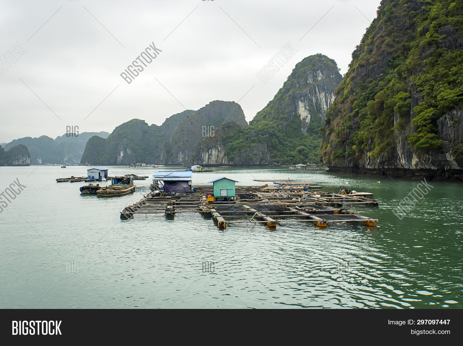 Floating Fish Farm Ha Image & Photo (Free Trial) | Bigstock