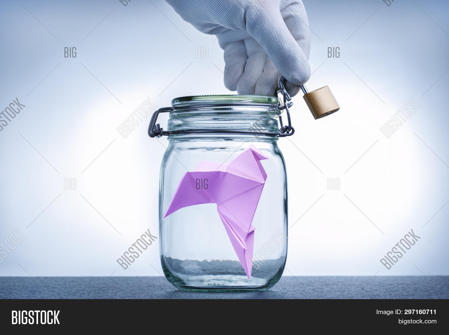 Concept False Freedom Image & Photo (Free Trial) | Bigstock