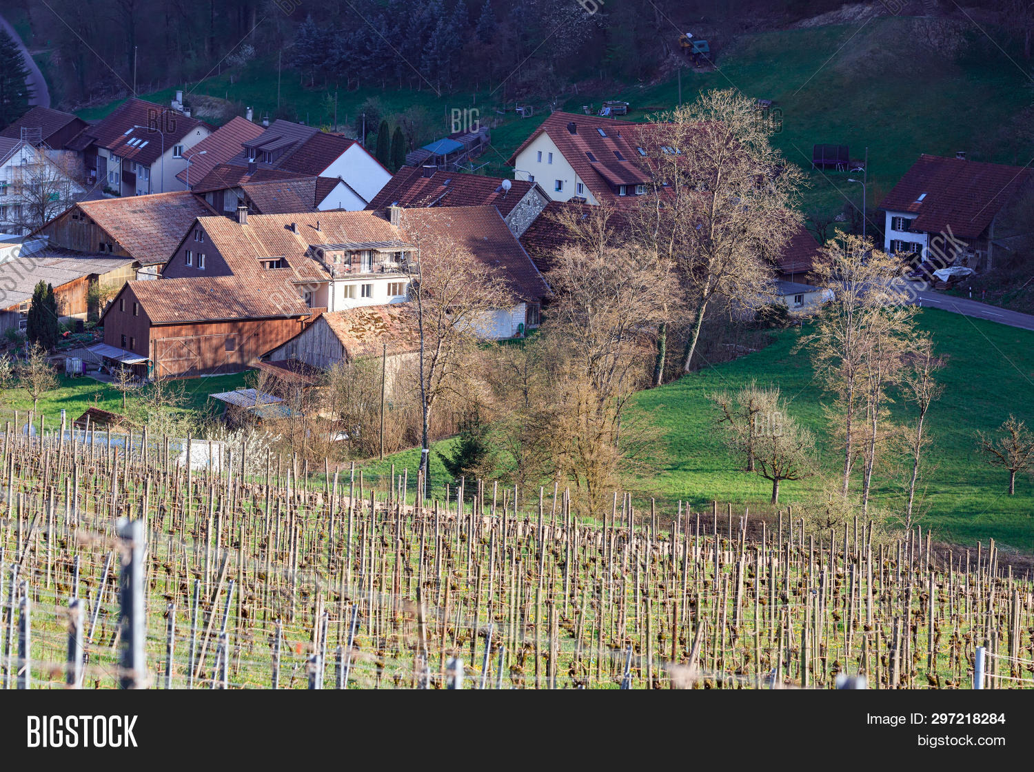 View Village Villigen Image & Photo (Free Trial) | Bigstock