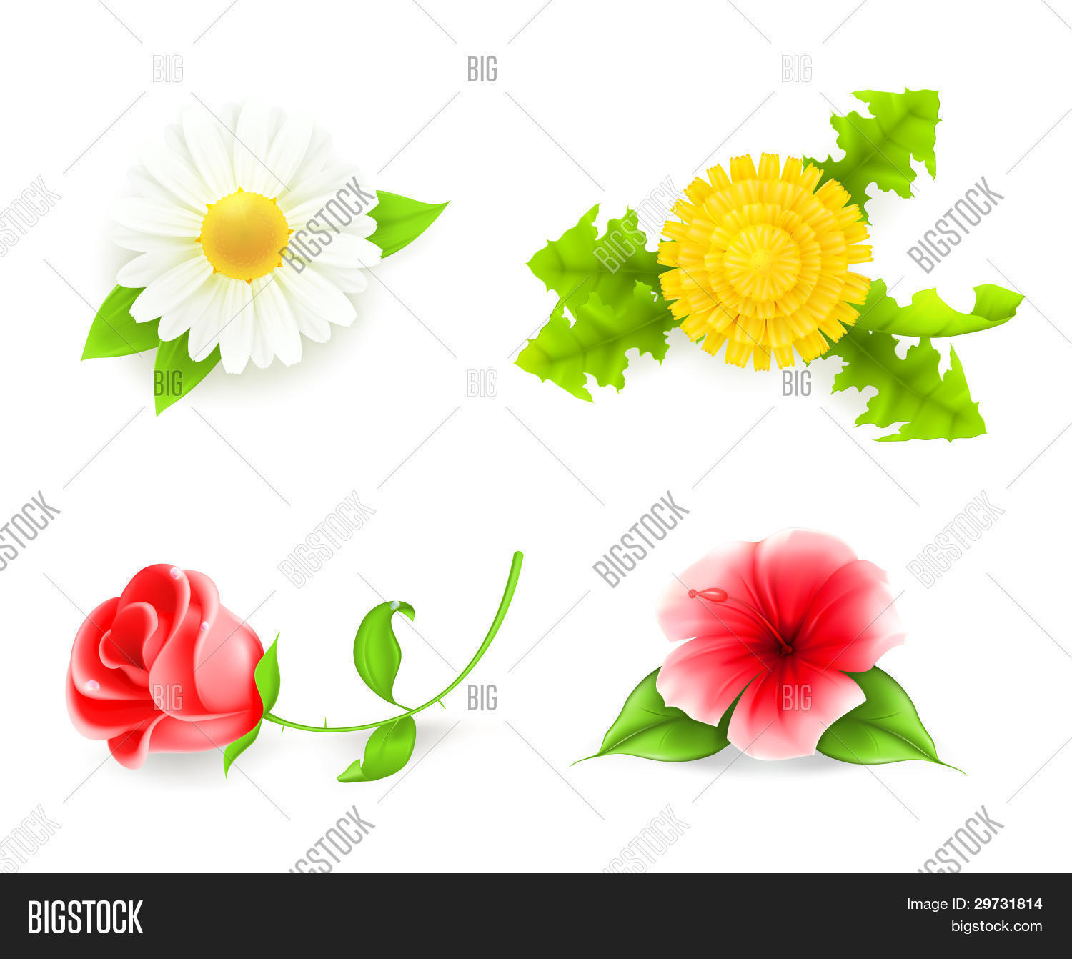 Flowers Set, Bitmap Image & Photo (Free Trial) | Bigstock