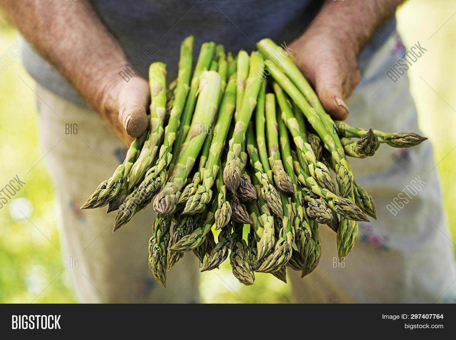 Asparagus. Fresh Image & Photo (Free Trial) | Bigstock