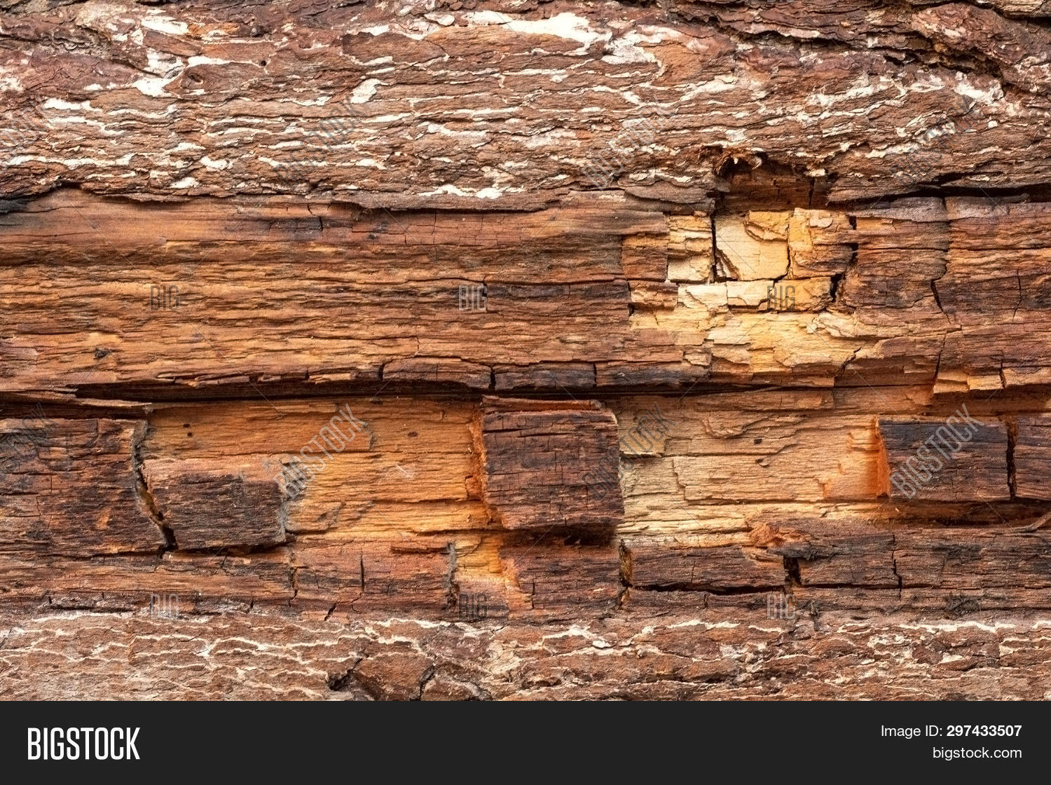 Texture Old Rotten Image & Photo (Free Trial) | Bigstock