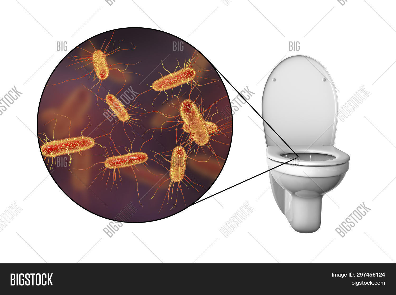 Toilet Microbes, Image & Photo (Free Trial) | Bigstock