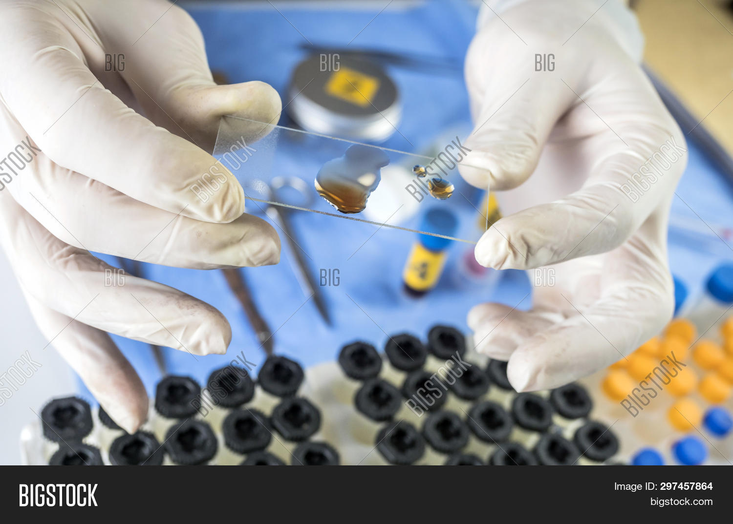 Police Expert Checks Image & Photo (Free Trial) | Bigstock