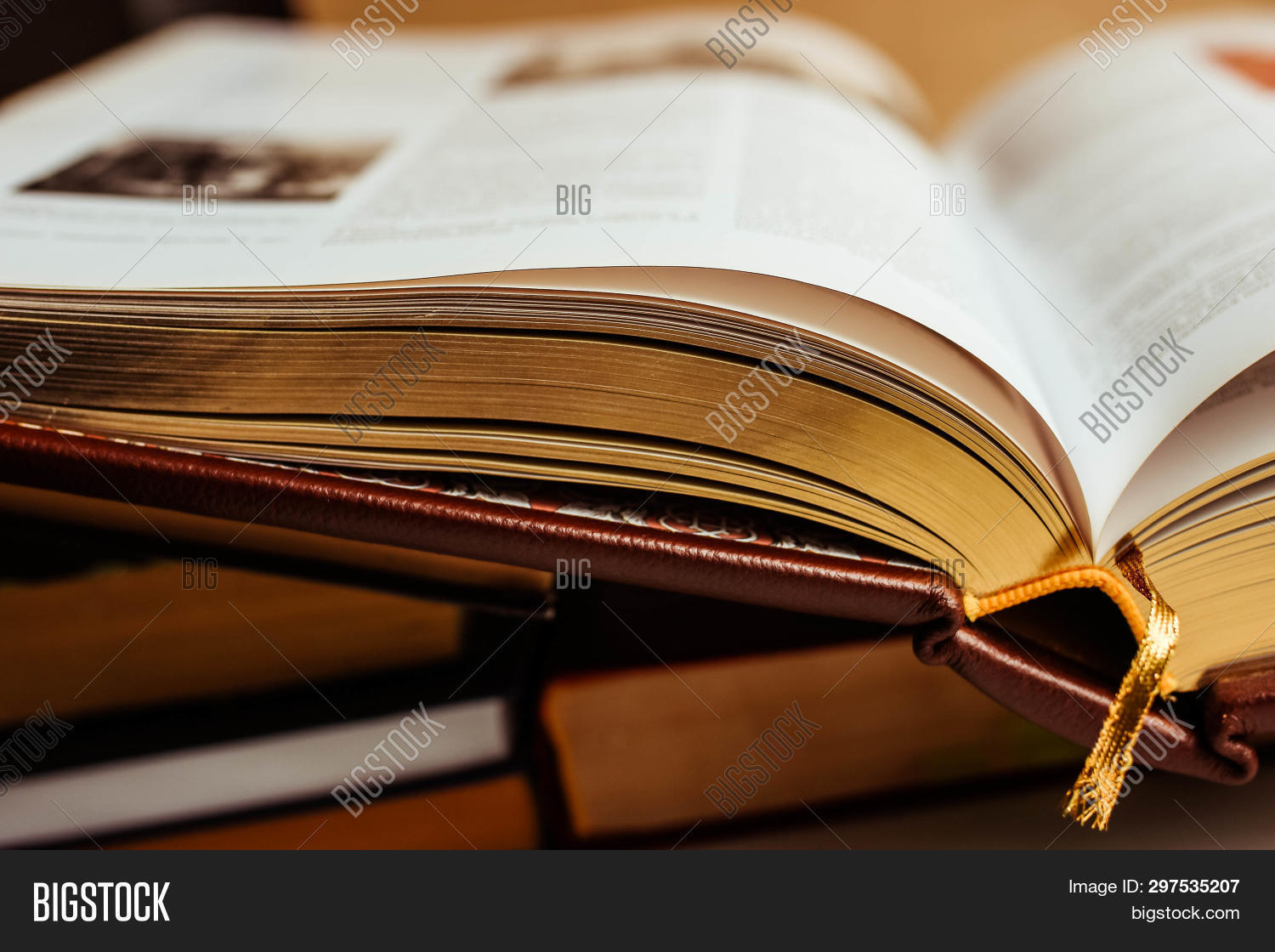 Vintage Open Book Image & Photo (Free Trial) | Bigstock