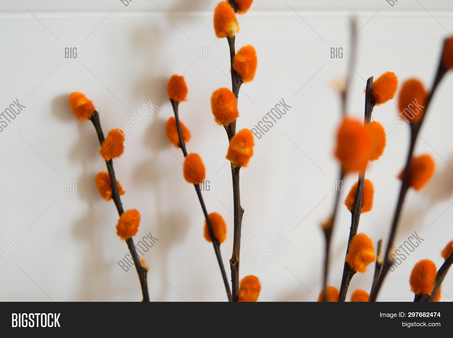 Branches Veras Painted Image & Photo (Free Trial) | Bigstock