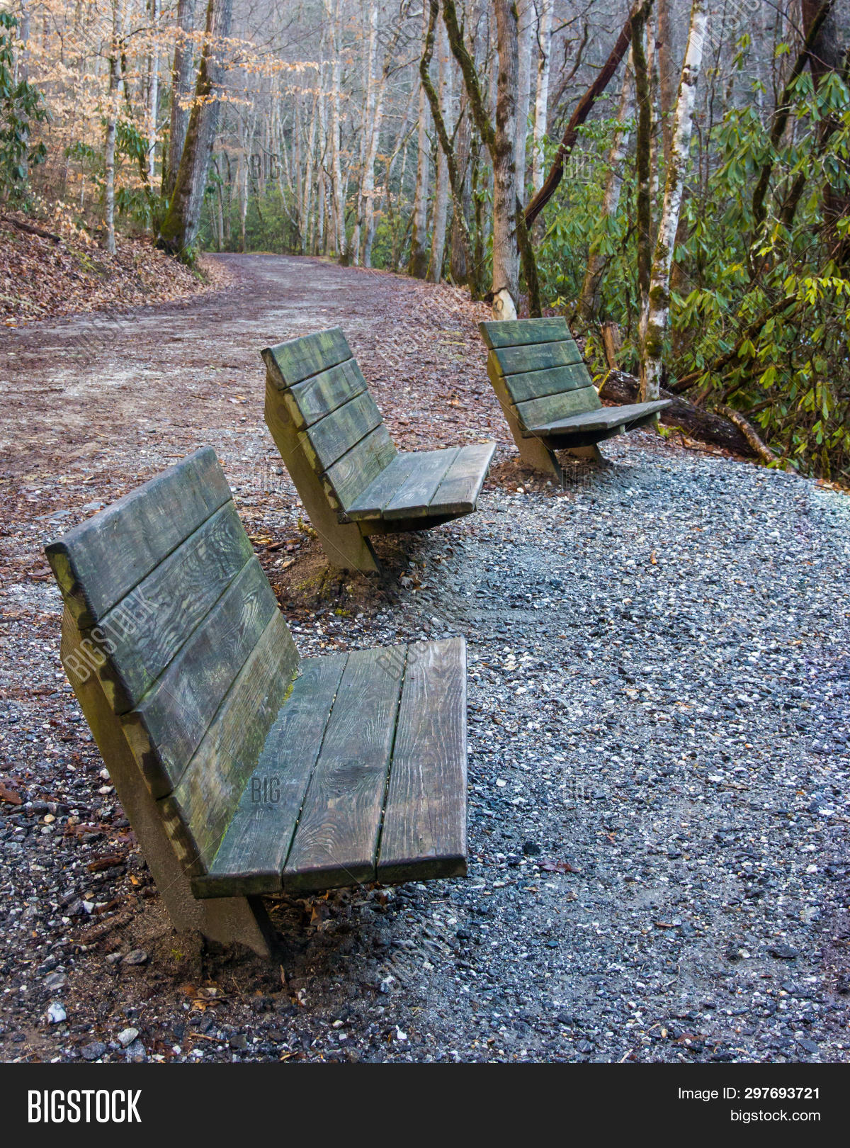 Group Benches Looking Image & Photo (Free Trial) | Bigstock