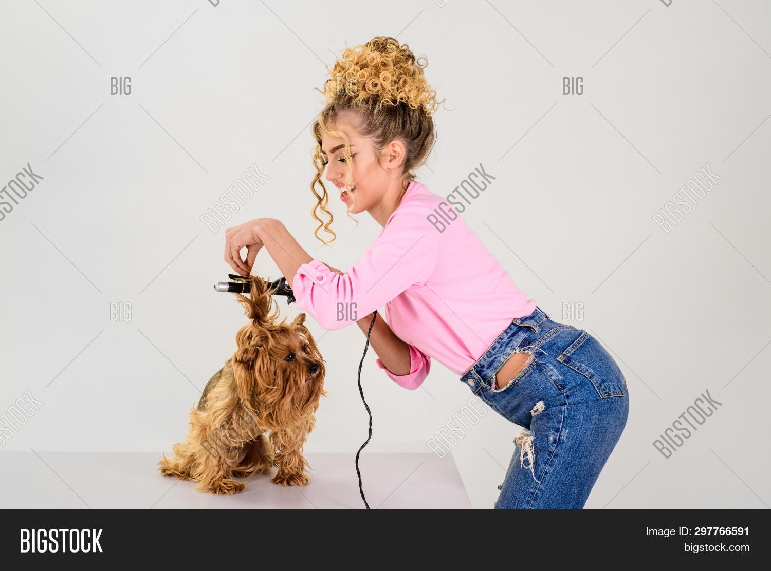 Vet. Pet Salon. Image & Photo (Free Trial) | Bigstock