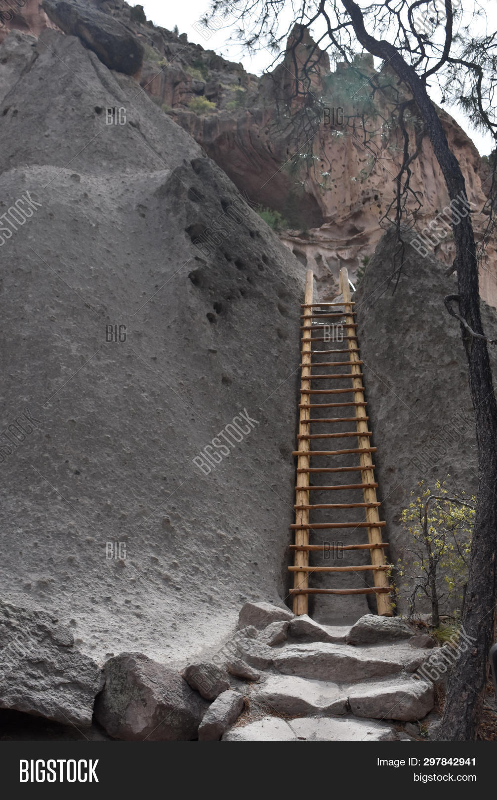 Tall Ladder Extending Image & Photo (Free Trial) | Bigstock