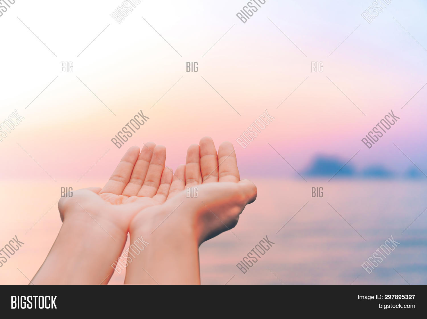 Woman Hands Place Image & Photo (Free Trial) | Bigstock