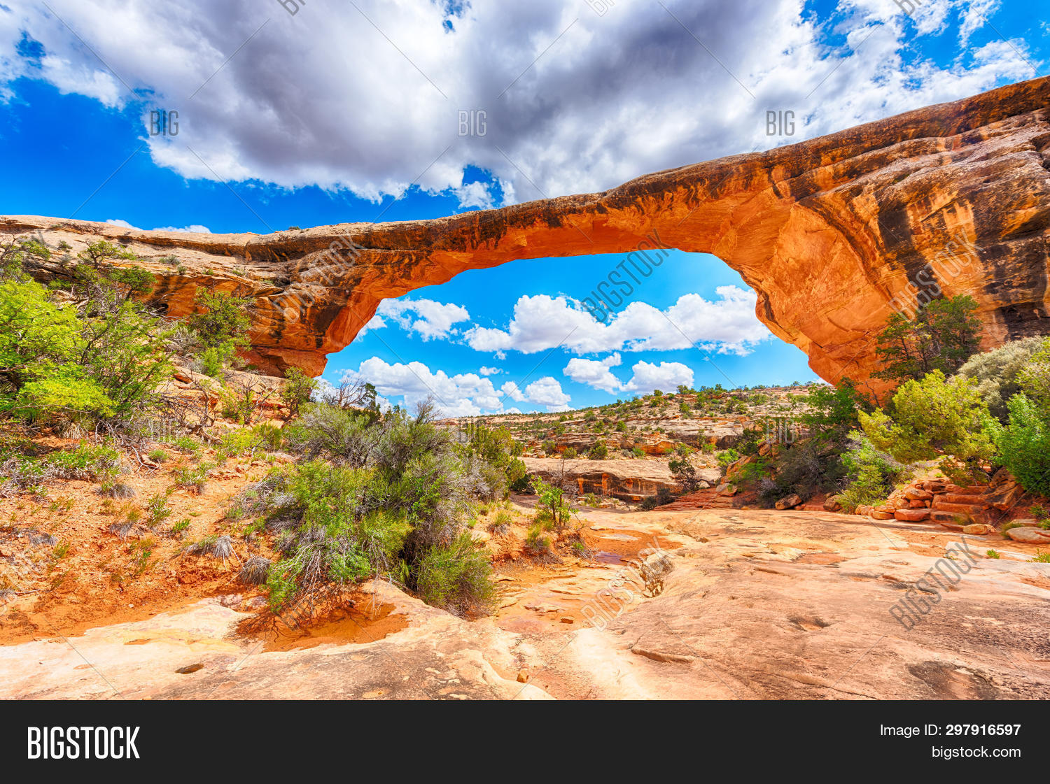 Owachomo Bridge Image & Photo (Free Trial) | Bigstock