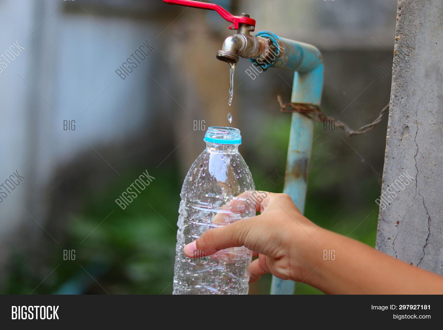 Young Hand Collecting Image & Photo (Free Trial) | Bigstock