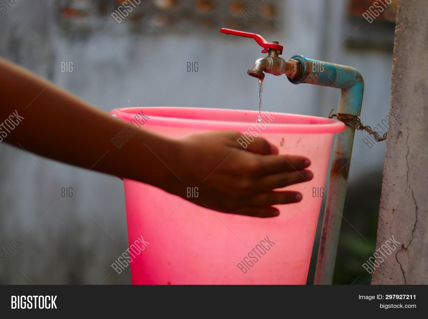 Young Hands Collecting Image & Photo (Free Trial) | Bigstock