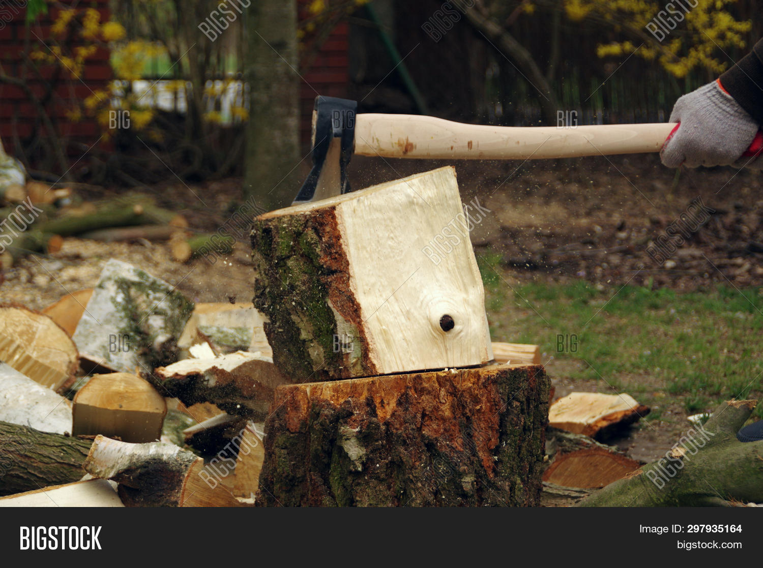 Chopping Wood Ax His Image & Photo (Free Trial) | Bigstock