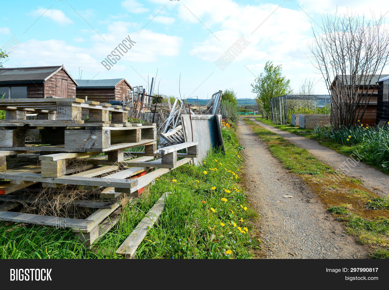 Overgrown Plot Land Image & Photo (Free Trial) | Bigstock