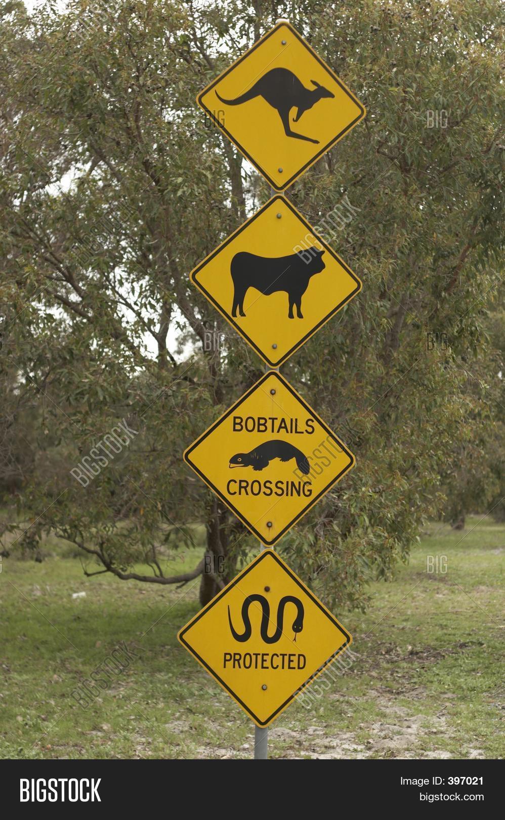 Aussie Street Sign Image & Photo (Free Trial) | Bigstock