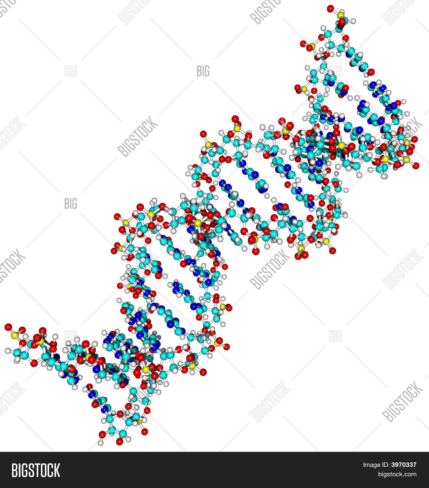 Dna Molecule Image & Photo (Free Trial) | Bigstock