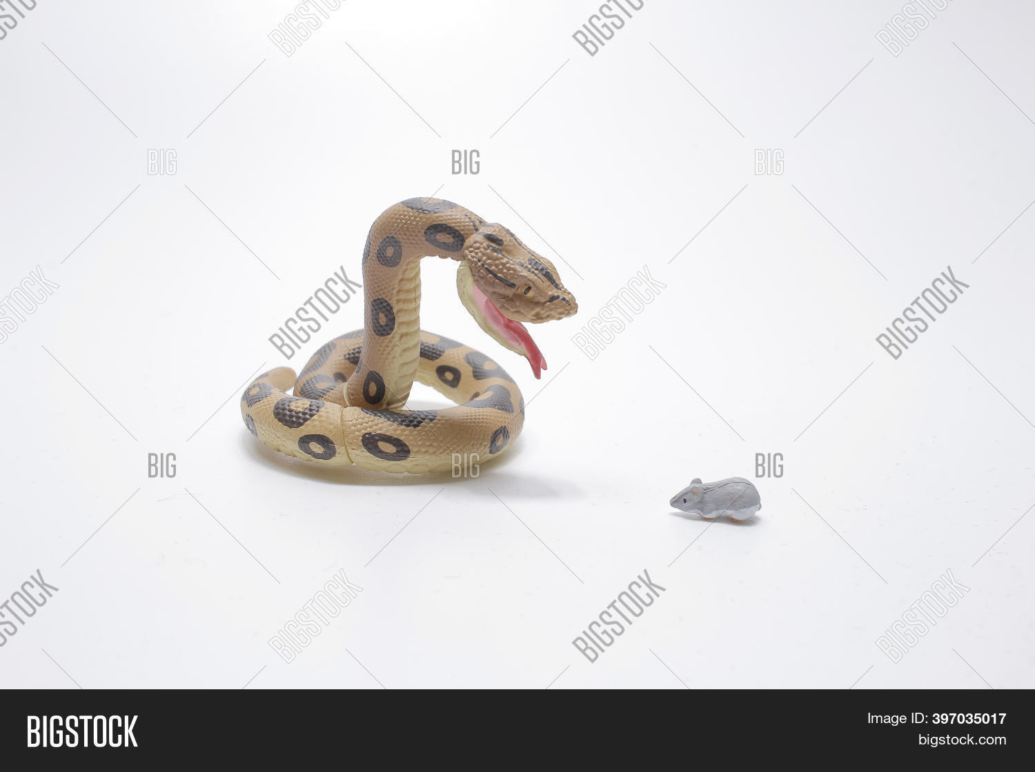 Figure Snake Eat Mouse Image & Photo (Free Trial) | Bigstock
