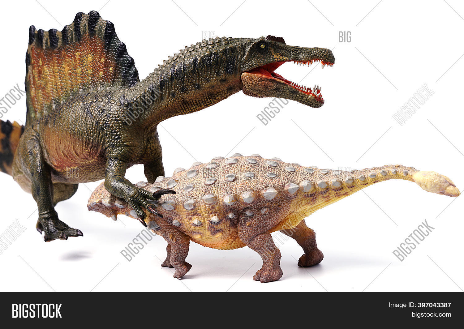 Spinosaurus Fighting Image & Photo (Free Trial) | Bigstock