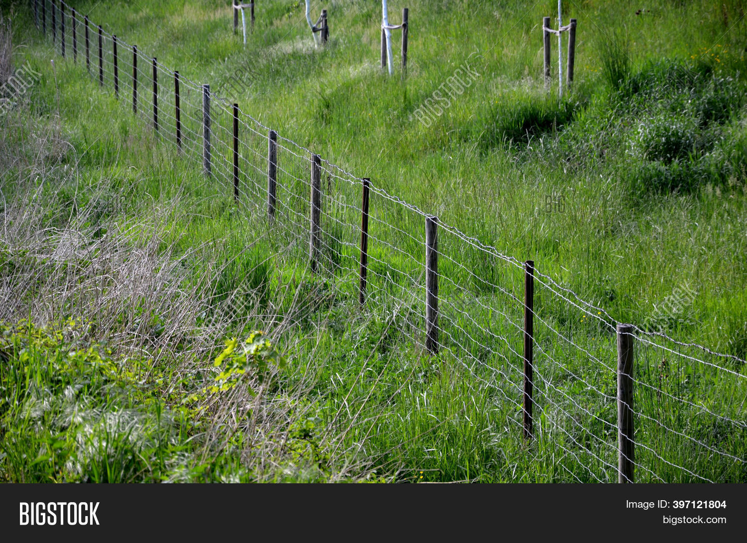 Fencing Plot Forested Image & Photo (Free Trial) | Bigstock