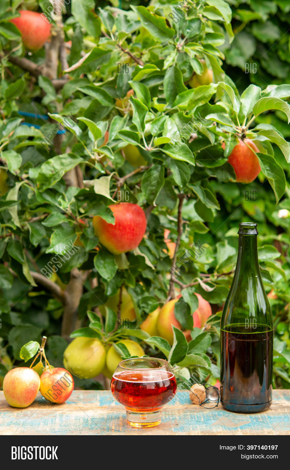 Glass Rose Apple Cider Image & Photo (Free Trial) | Bigstock