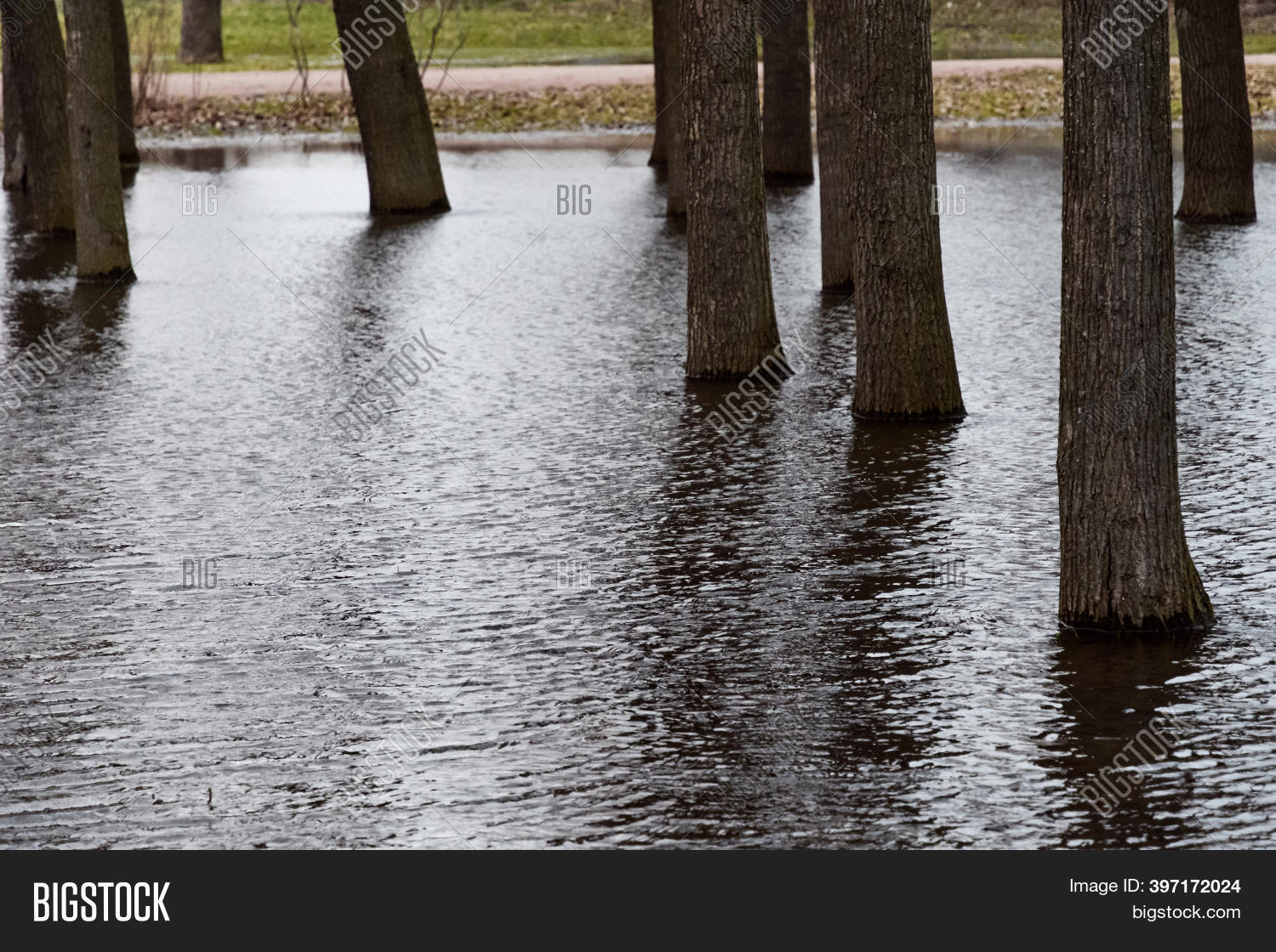 Spring Flood Park Image & Photo (Free Trial) | Bigstock