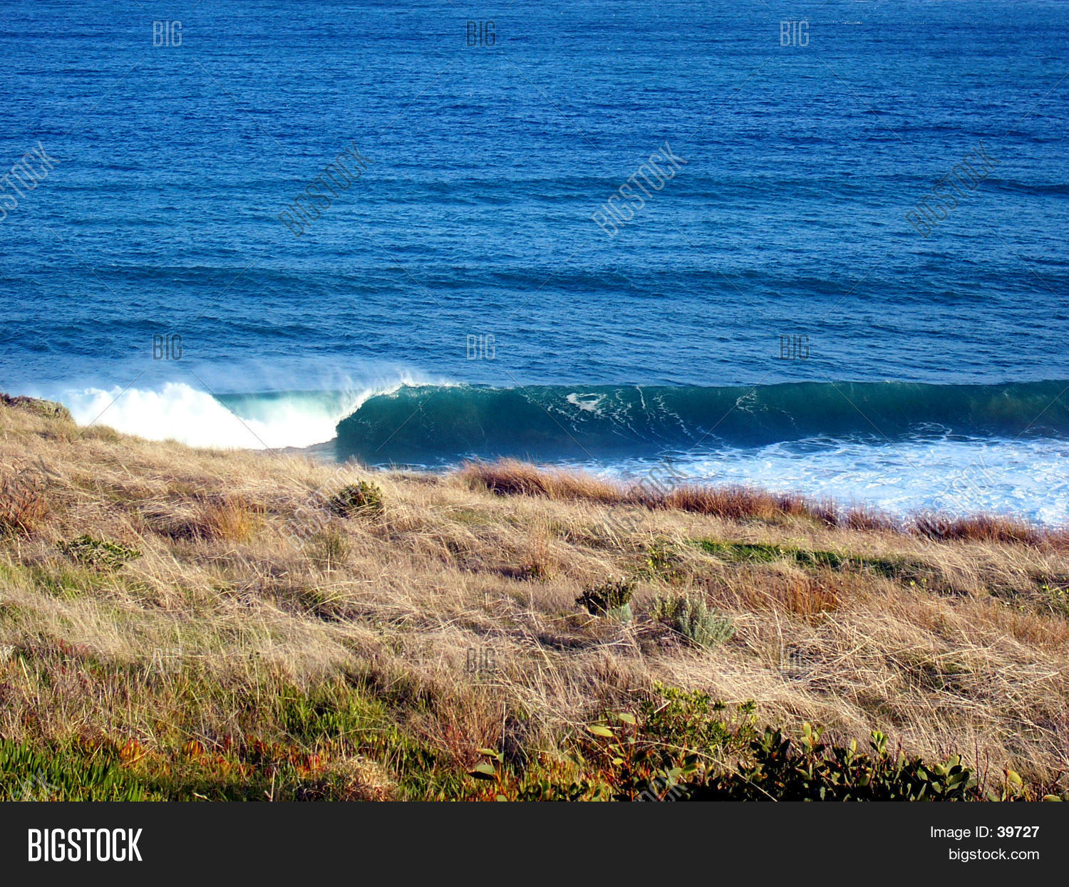 Rolling Wave Image & Photo (Free Trial) | Bigstock
