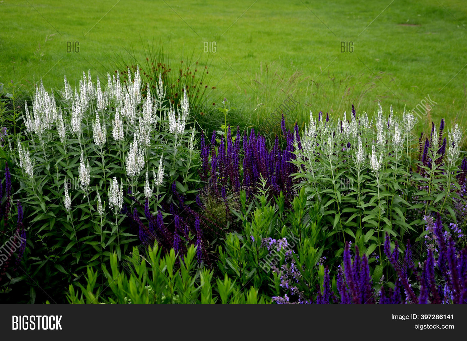 Compact, Undemanding, Image & Photo (Free Trial) | Bigstock