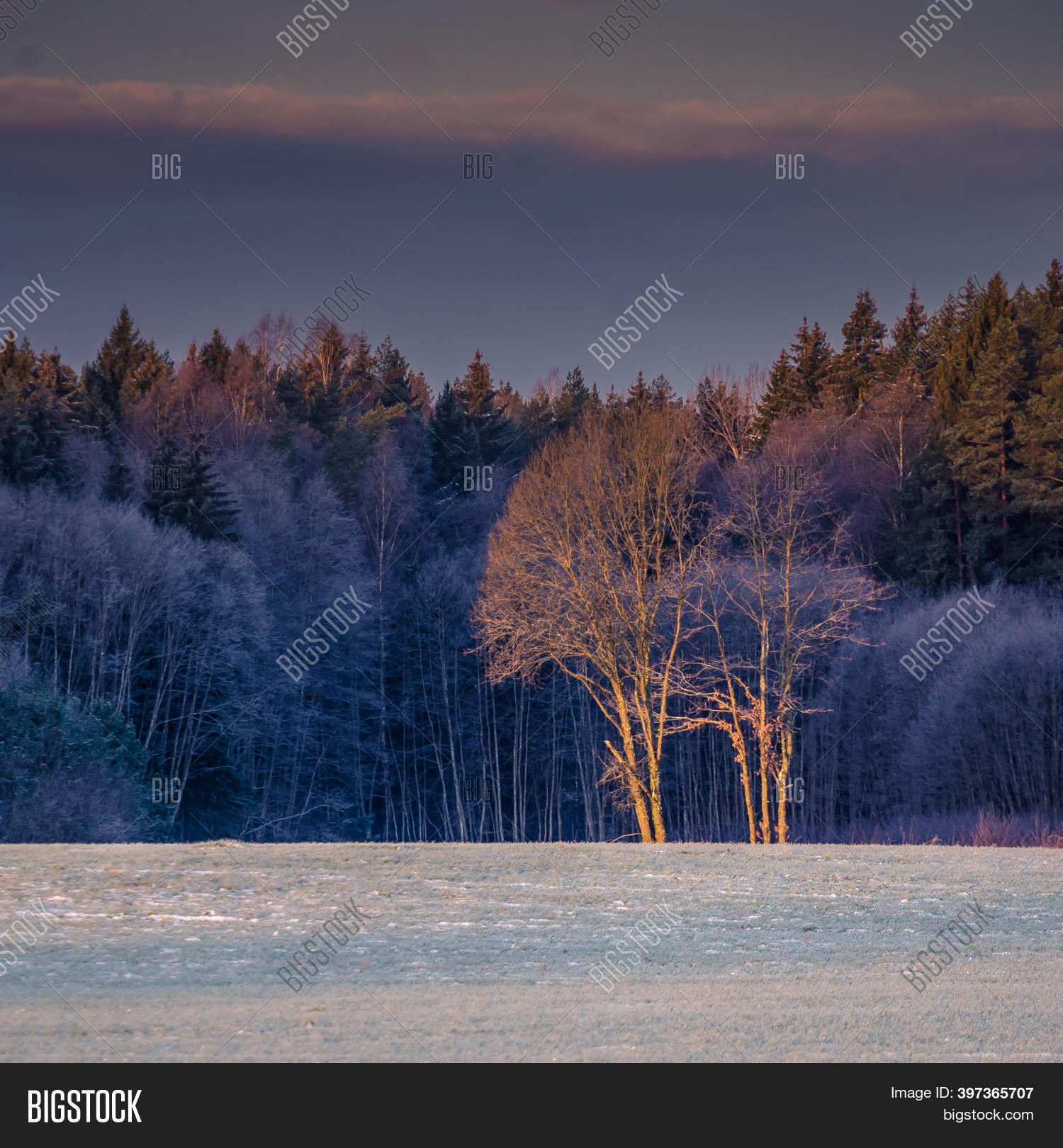 Beautiful Early Winter Image & Photo (Free Trial) | Bigstock