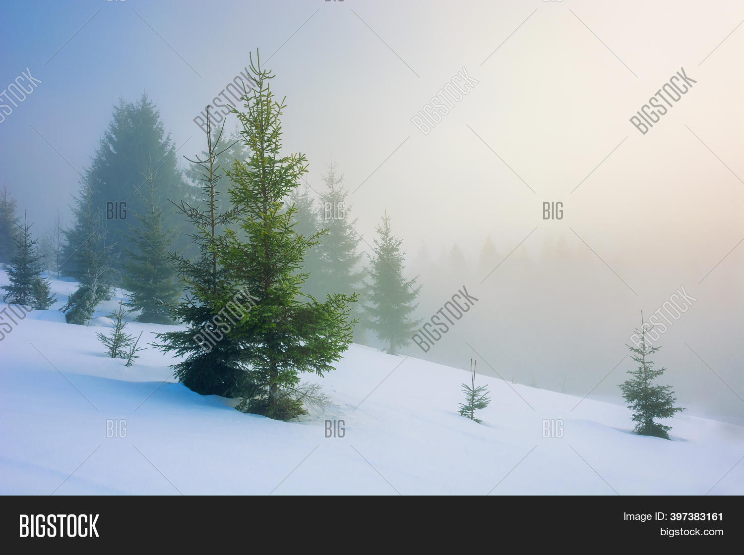 Fog On Sunny Winter Image & Photo (Free Trial) | Bigstock