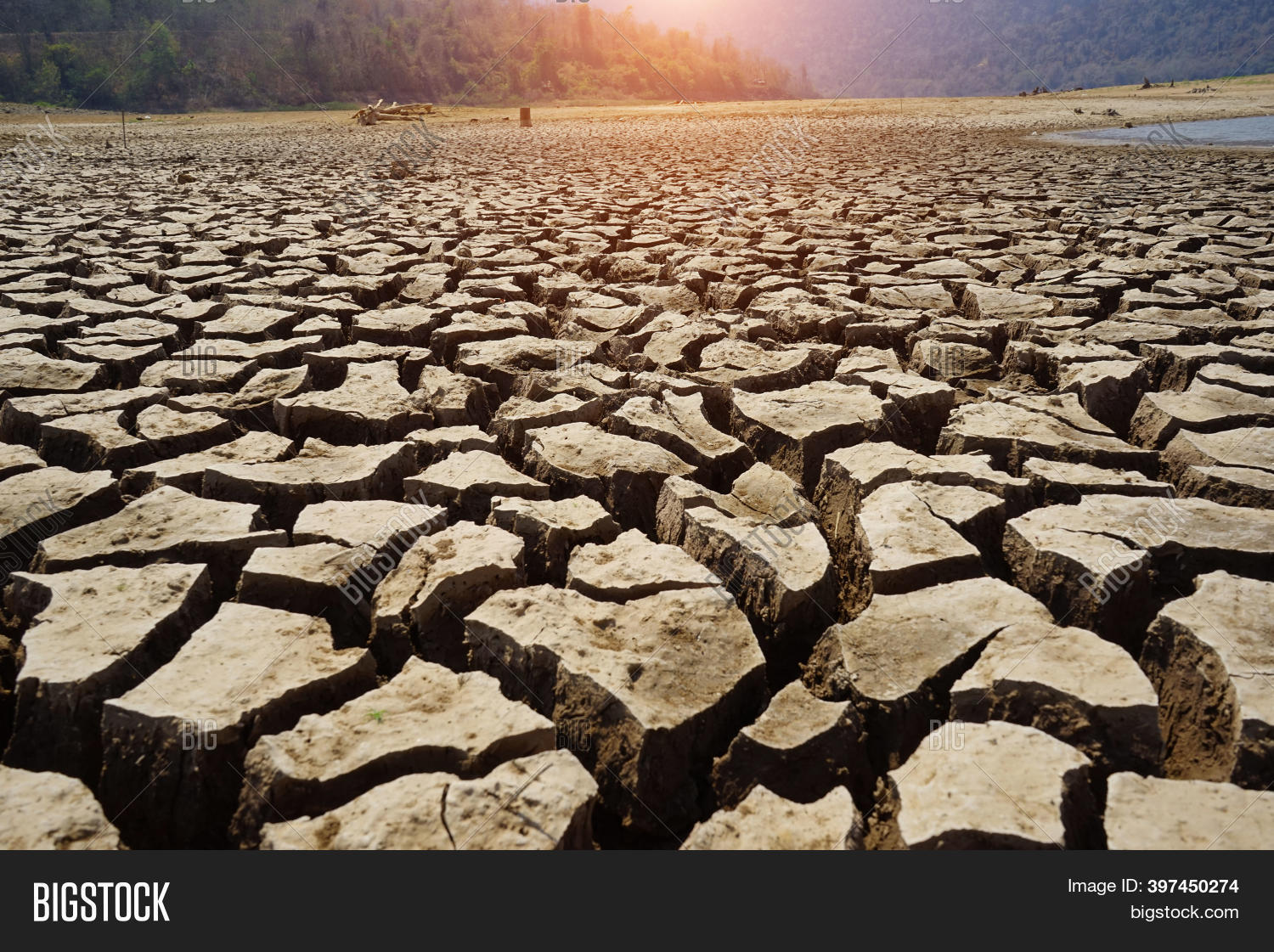 Drought Land Texture Image & Photo (Free Trial) | Bigstock