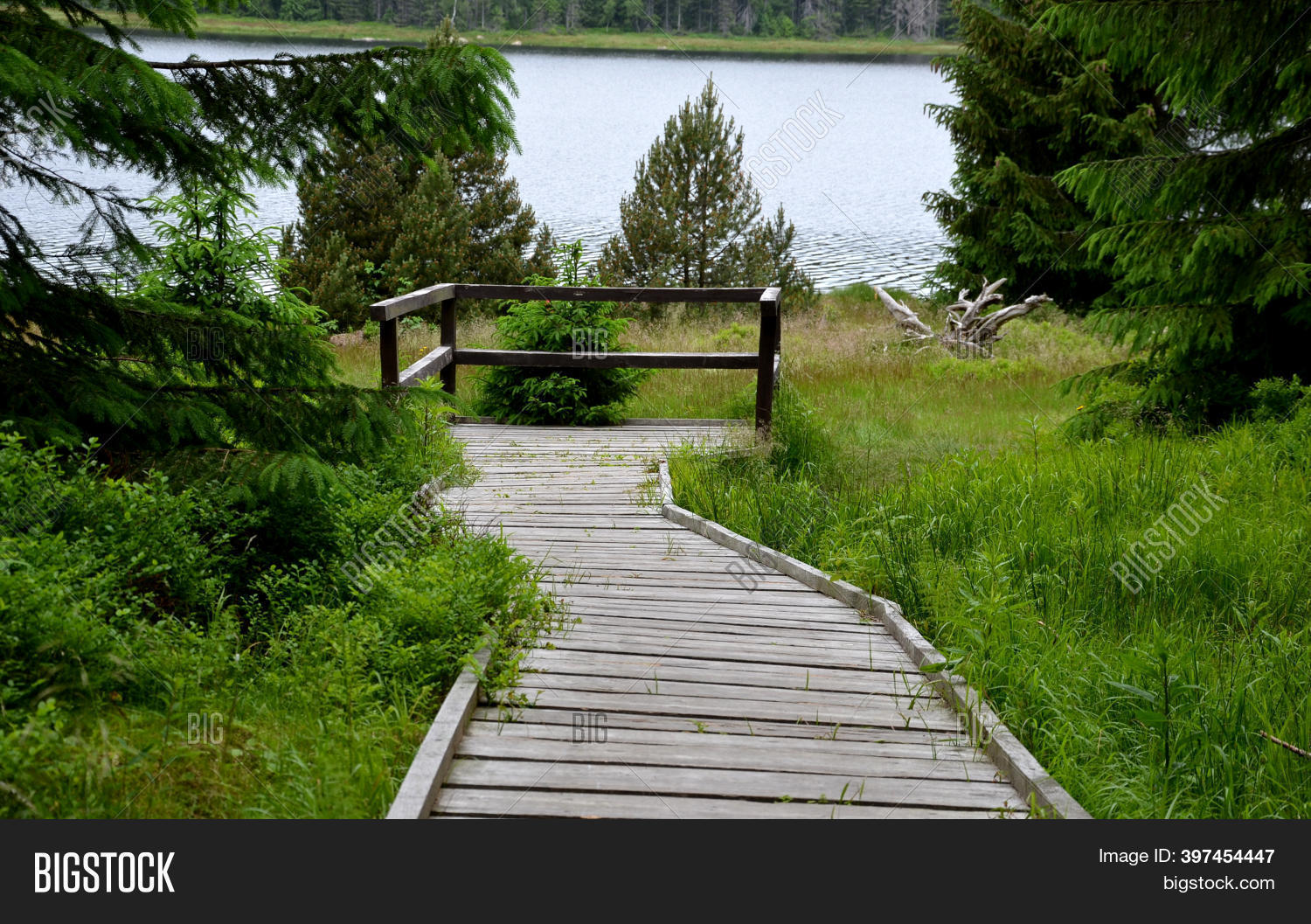 Wooden Walkway Nature Image & Photo (Free Trial) | Bigstock