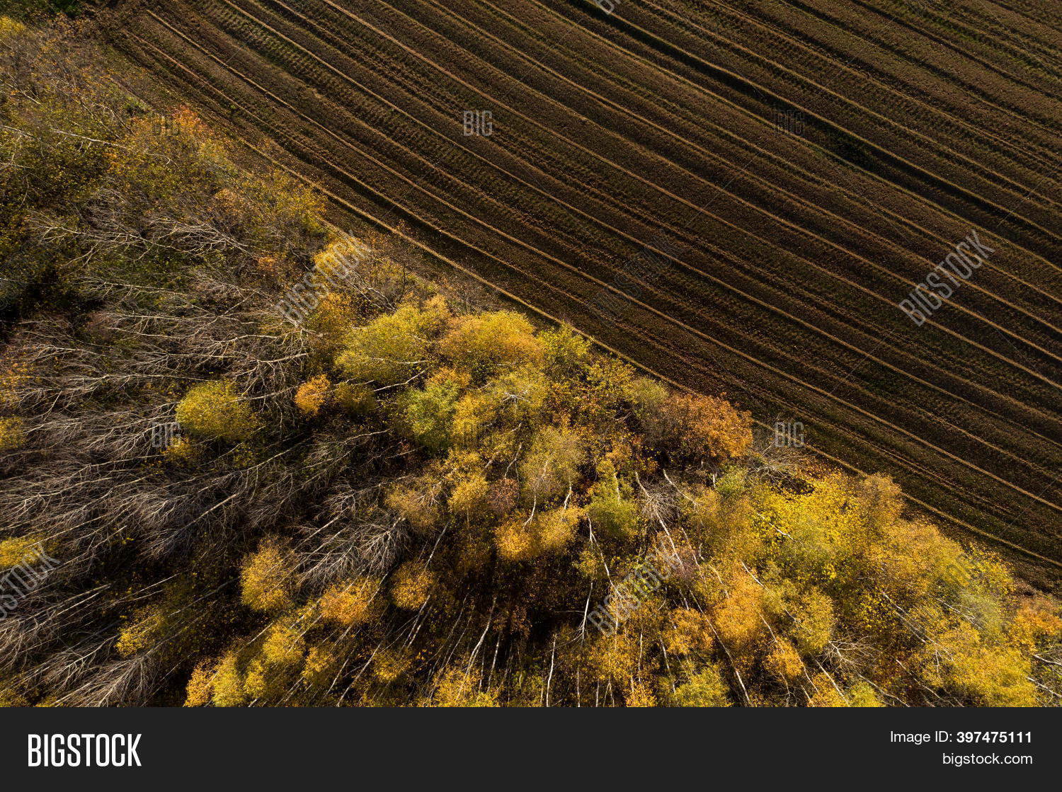 Aerial View Image & Photo (Free Trial) | Bigstock