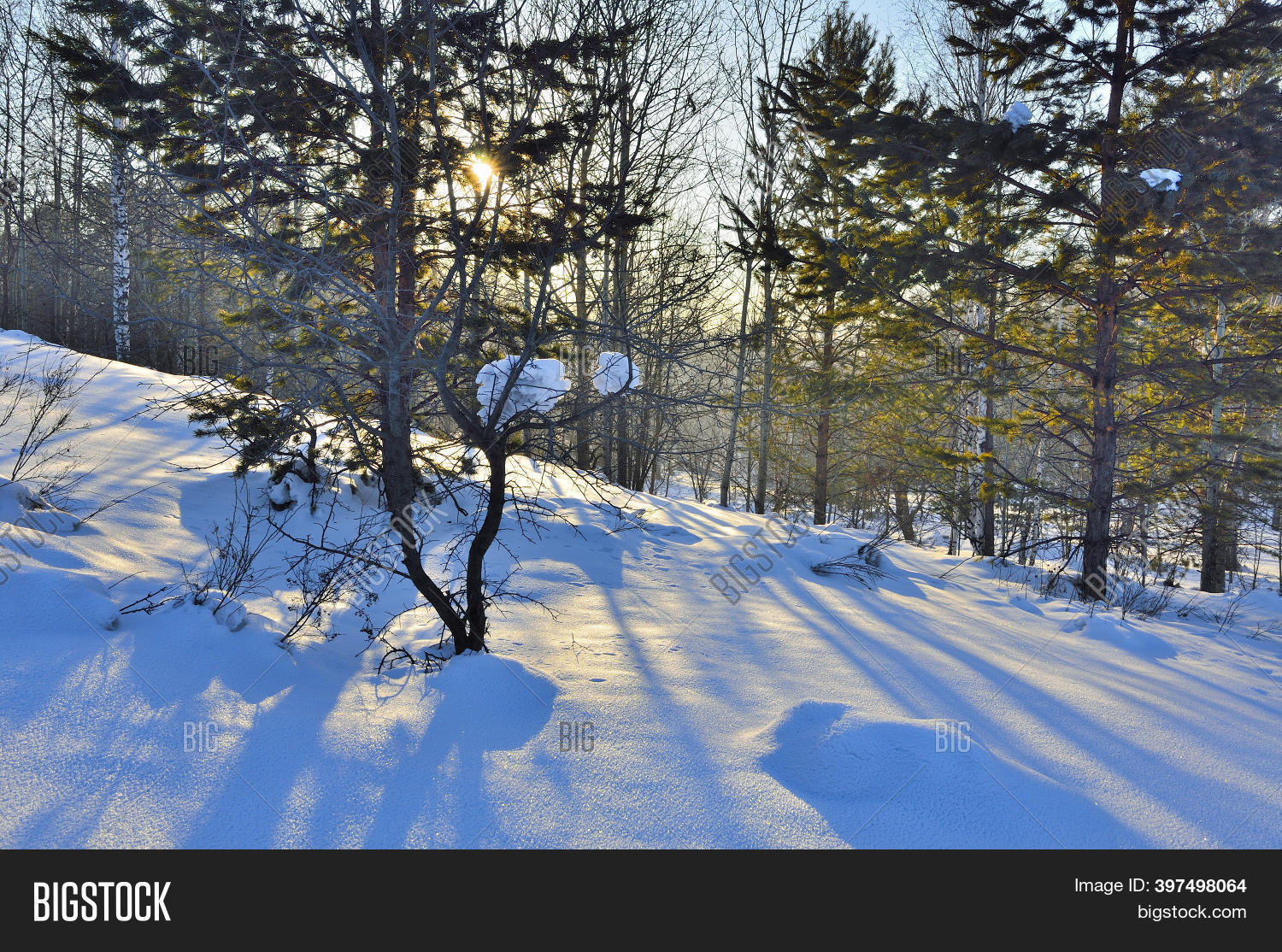 Winter Sunrise Sunset Image & Photo (Free Trial) | Bigstock