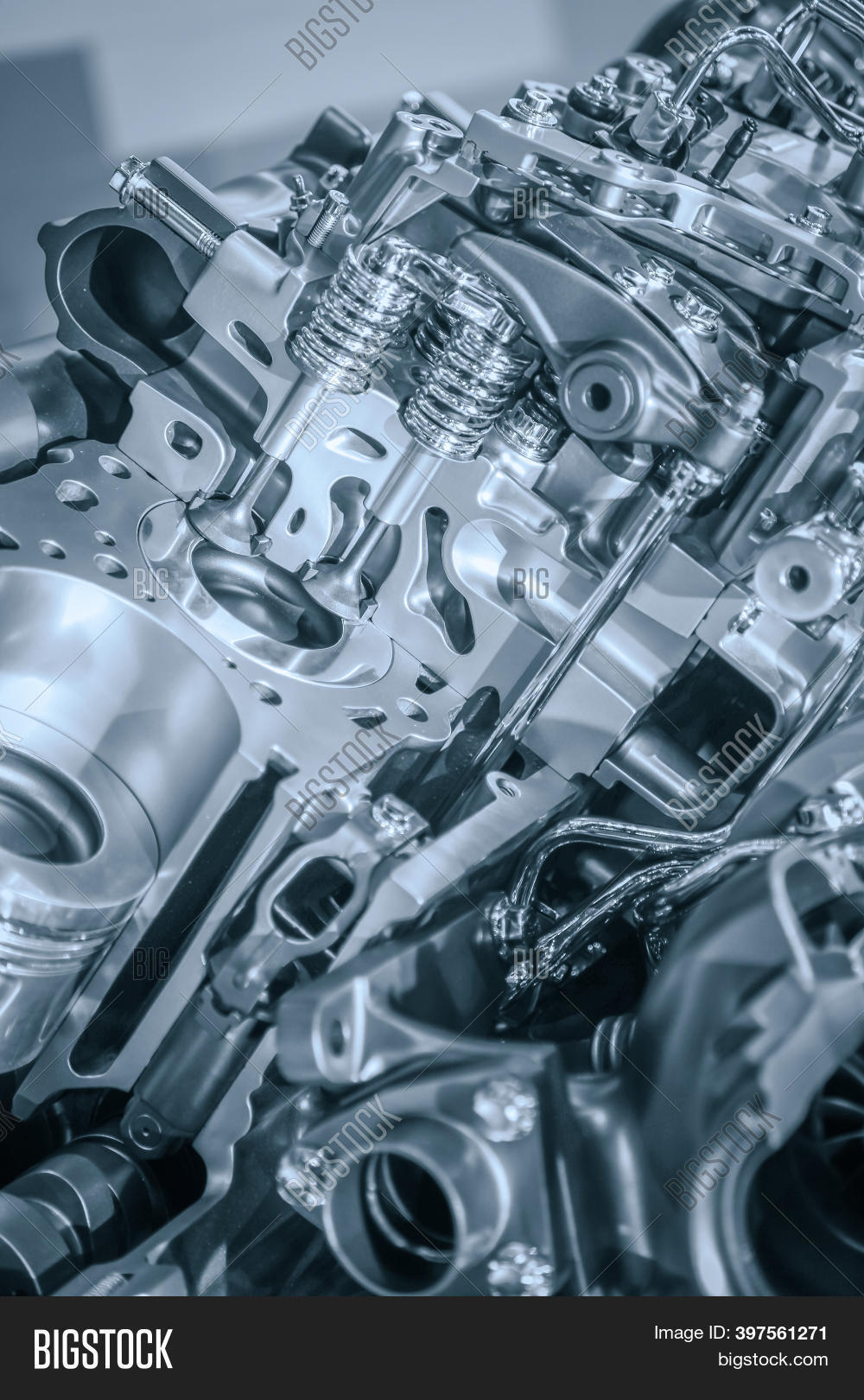 Cut Sectional View Image & Photo (Free Trial) | Bigstock