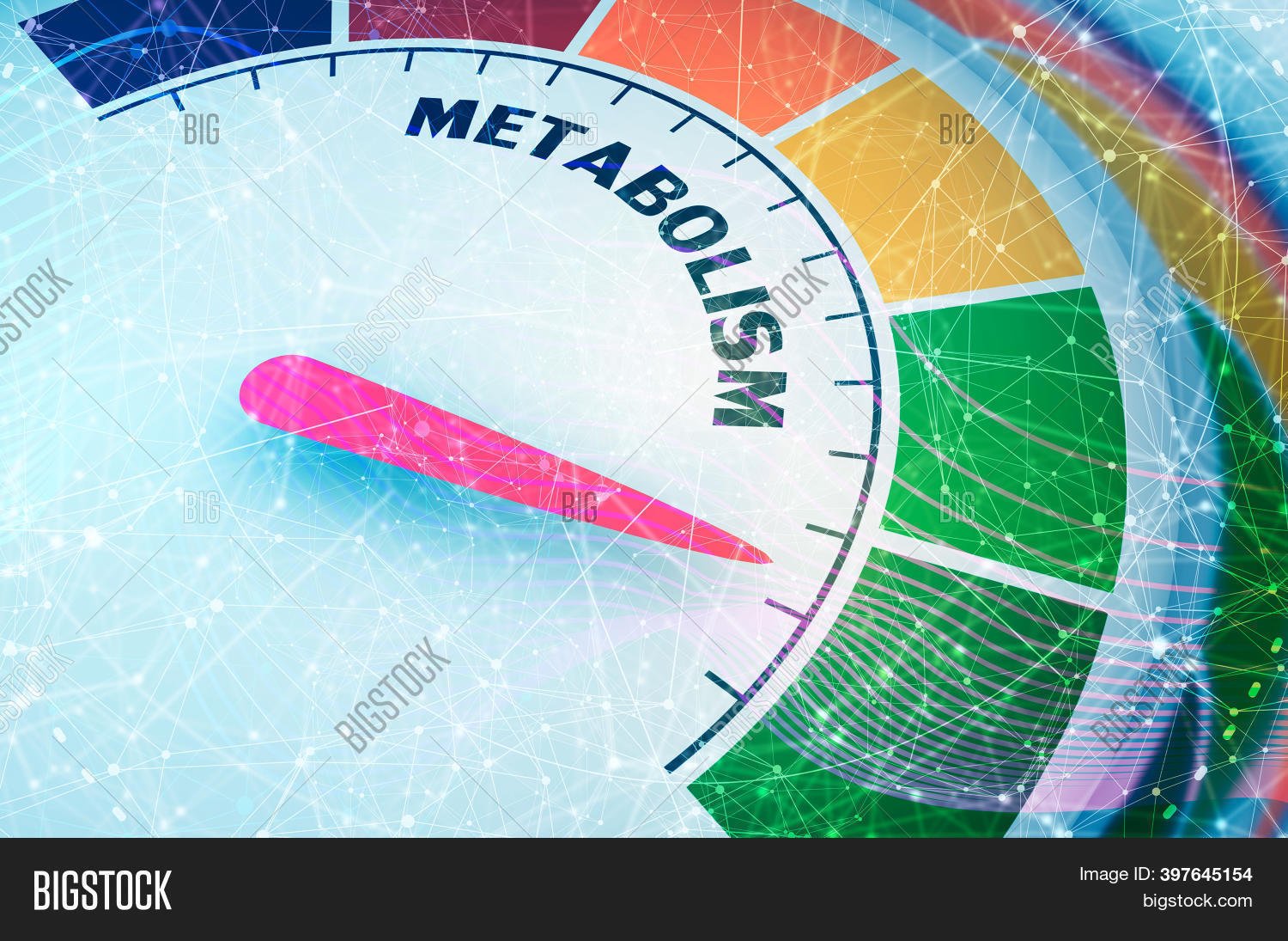 Metabolism Level Scale Image & Photo (Free Trial) | Bigstock