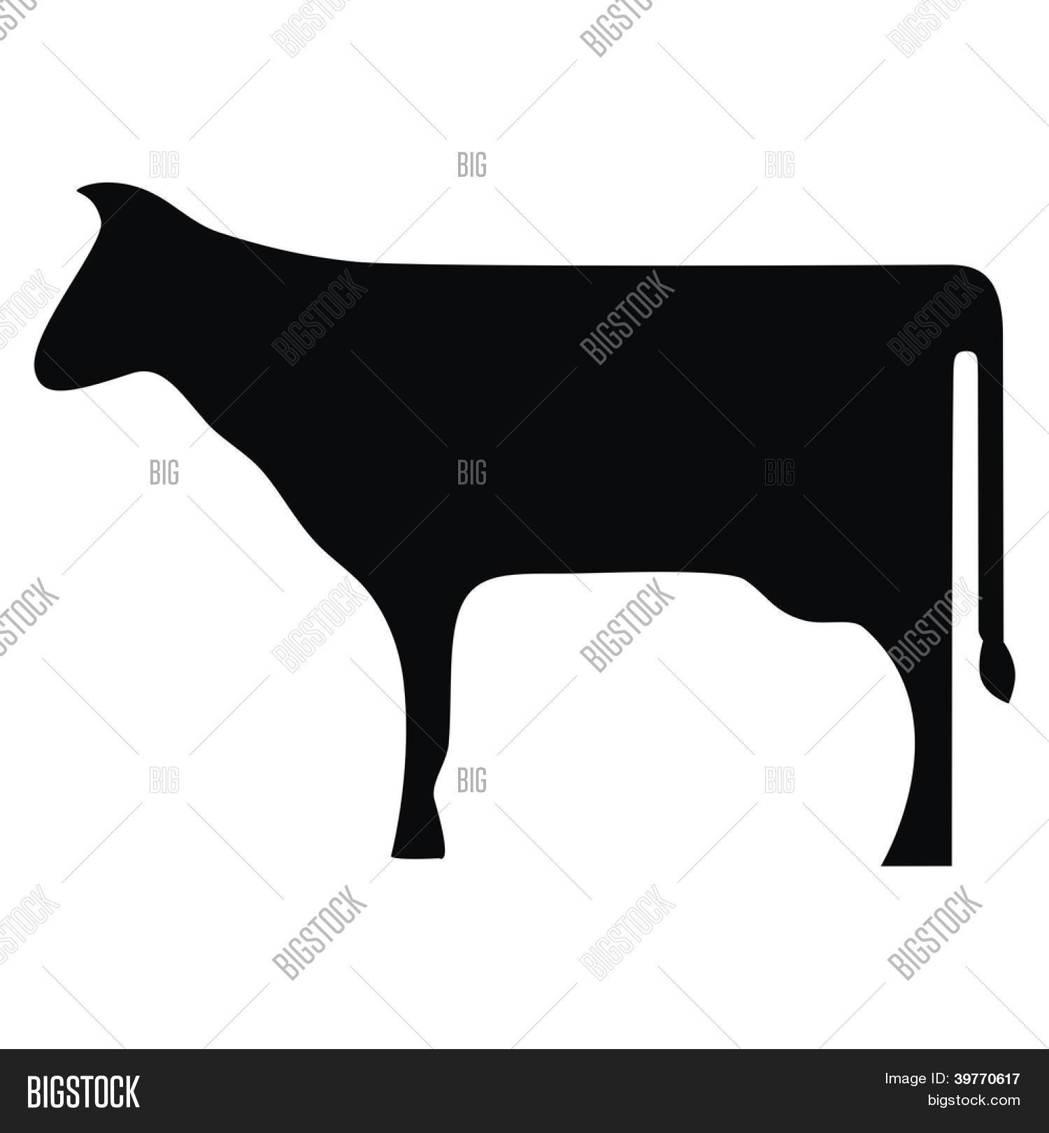 Vector - Cow / Bull Vector & Photo (Free Trial) | Bigstock