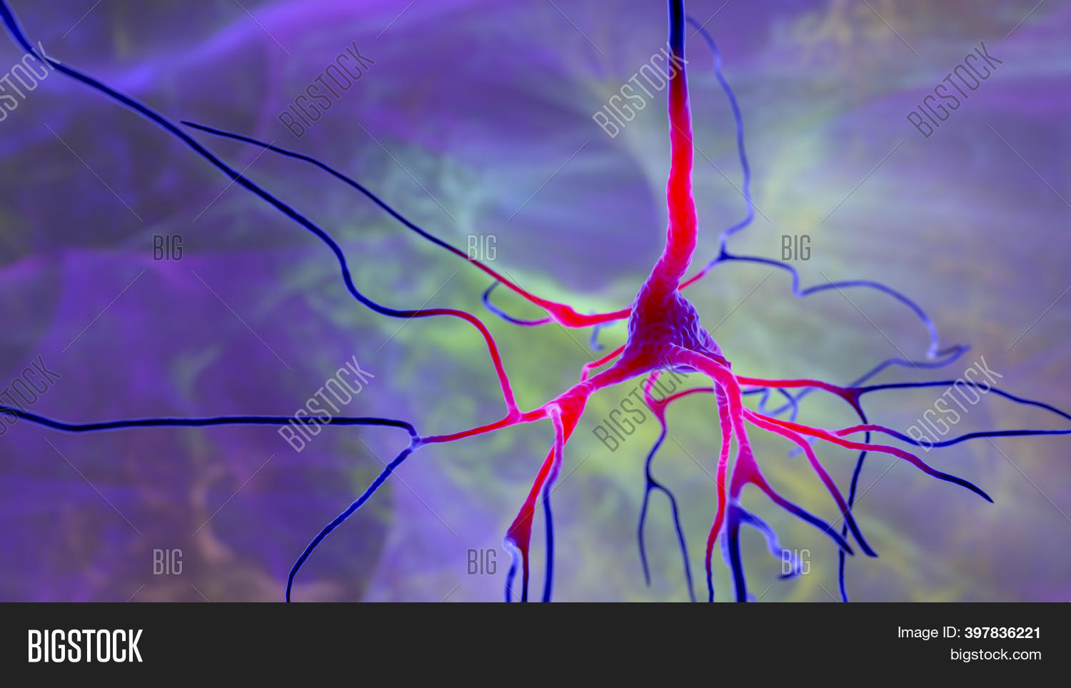 Neurons, 3d Image & Photo (Free Trial) | Bigstock