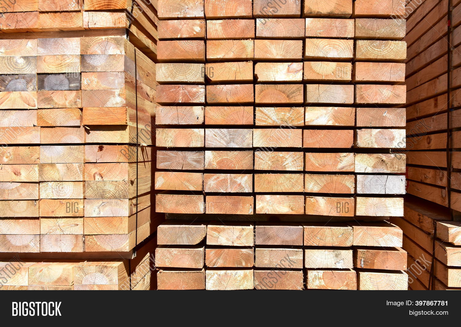 Pine Tree Cut Wood Image & Photo (Free Trial) | Bigstock