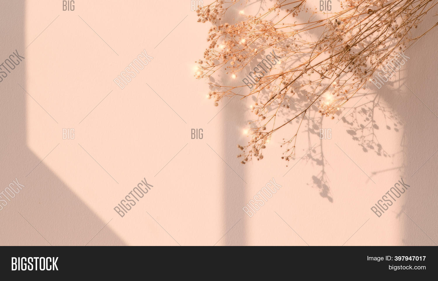 Dried Flower Window Image & Photo (Free Trial) | Bigstock