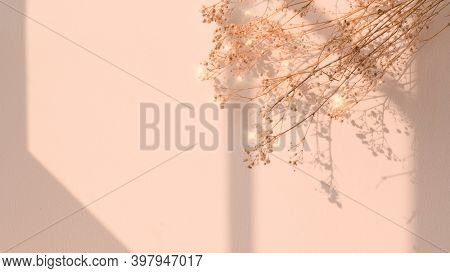 Dried Flower Window Image & Photo (Free Trial) | Bigstock