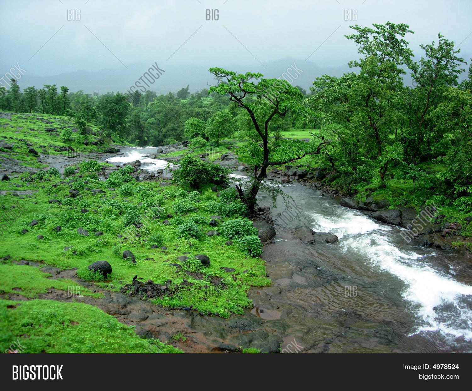 Malshej Ghat Scene Image & Photo (Free Trial) | Bigstock