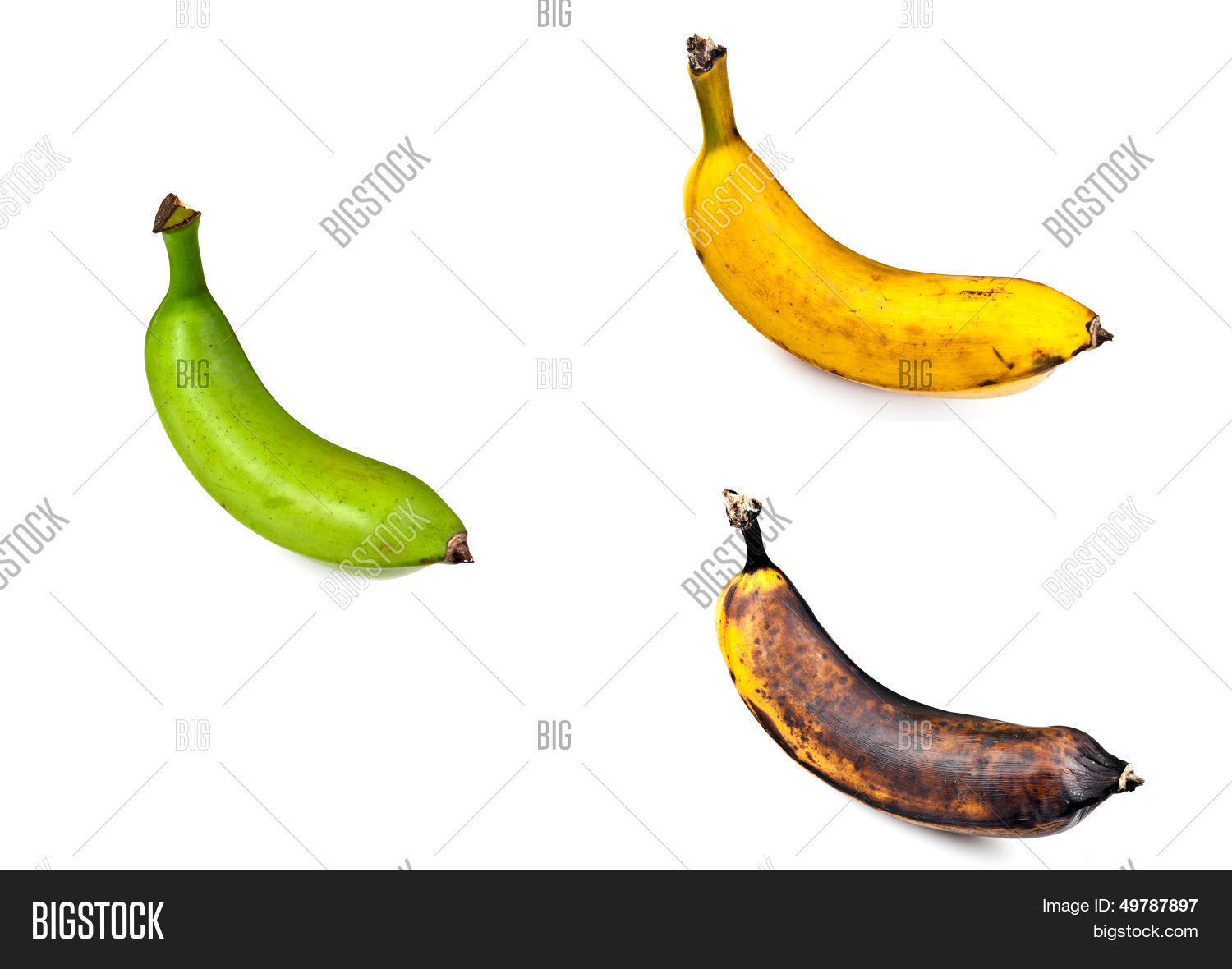 Plantain - Three Image & Photo (Free Trial) | Bigstock